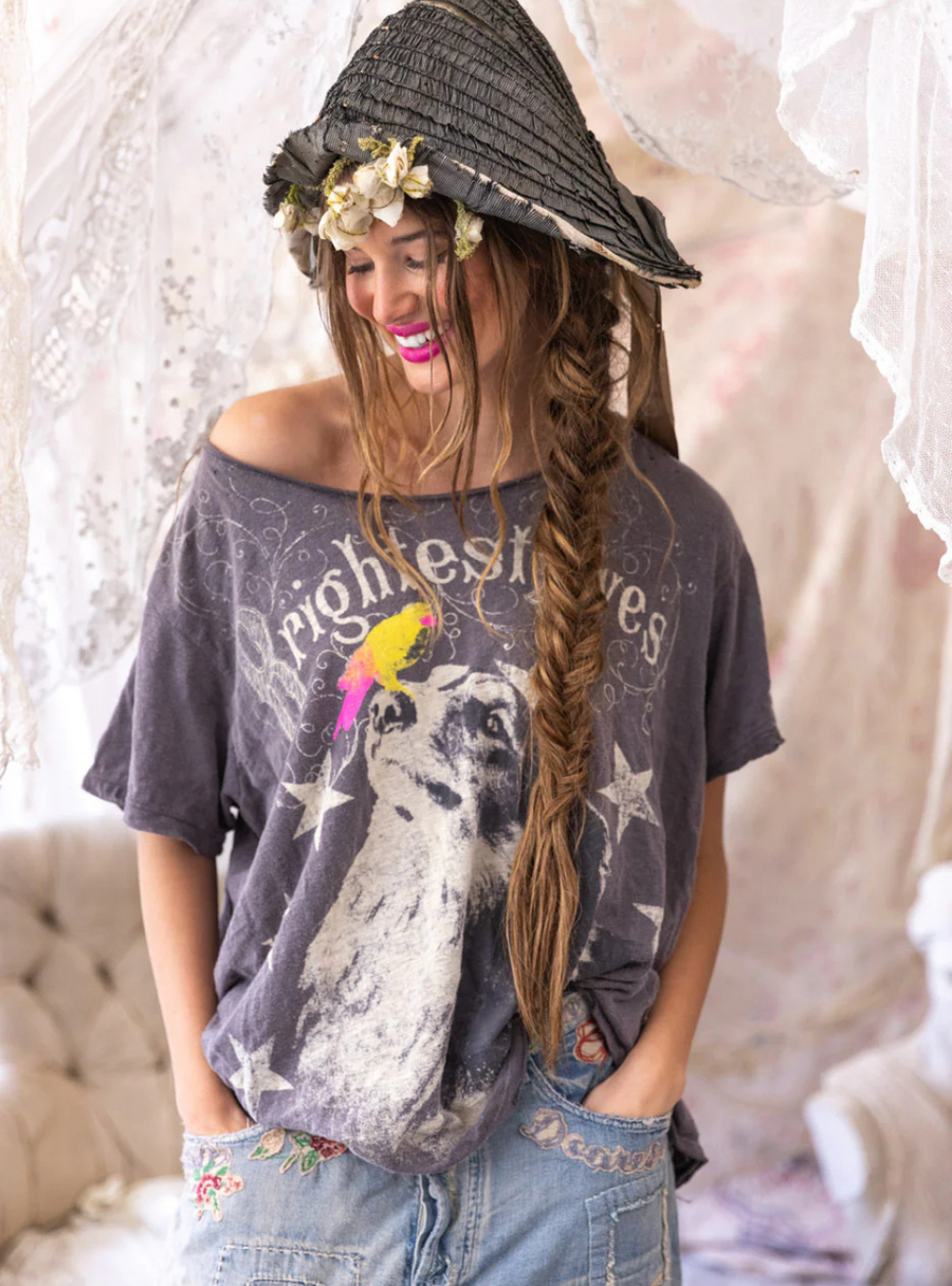 New – Gypsy and the Muse Co